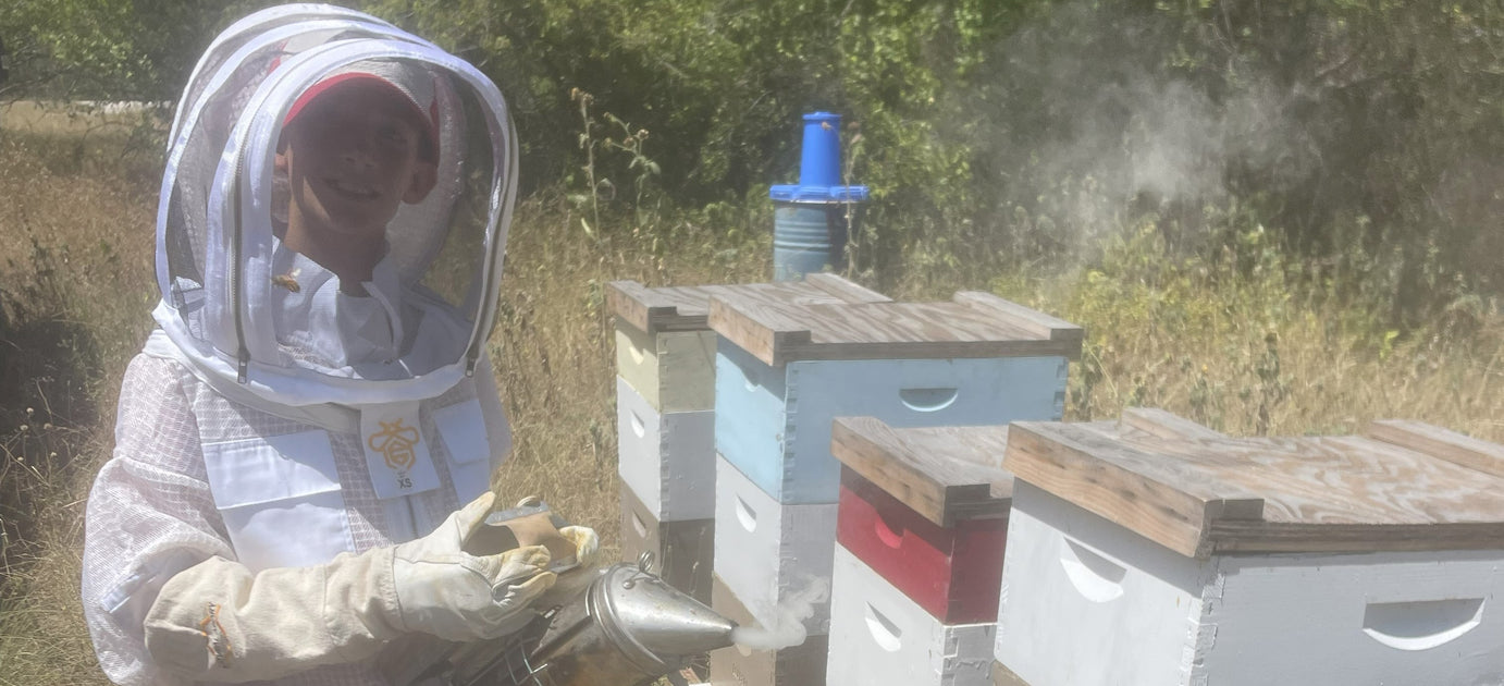 Essential Beekeeping Equipment for Beginners in 2024: Start Your Apiar ...
