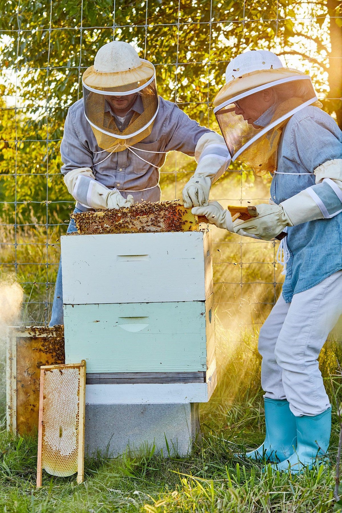 A Beginner's Guide to Beekeeping: Starting with Your First Nuc — Ten ...